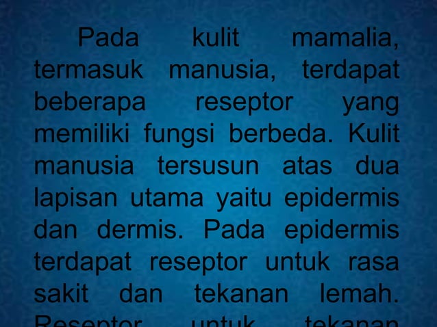 Indra peraba (kulit) ppt | PPTX