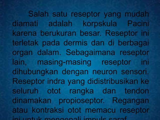 Indra peraba (kulit) ppt | PPTX