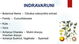indravaruni 2.pptx