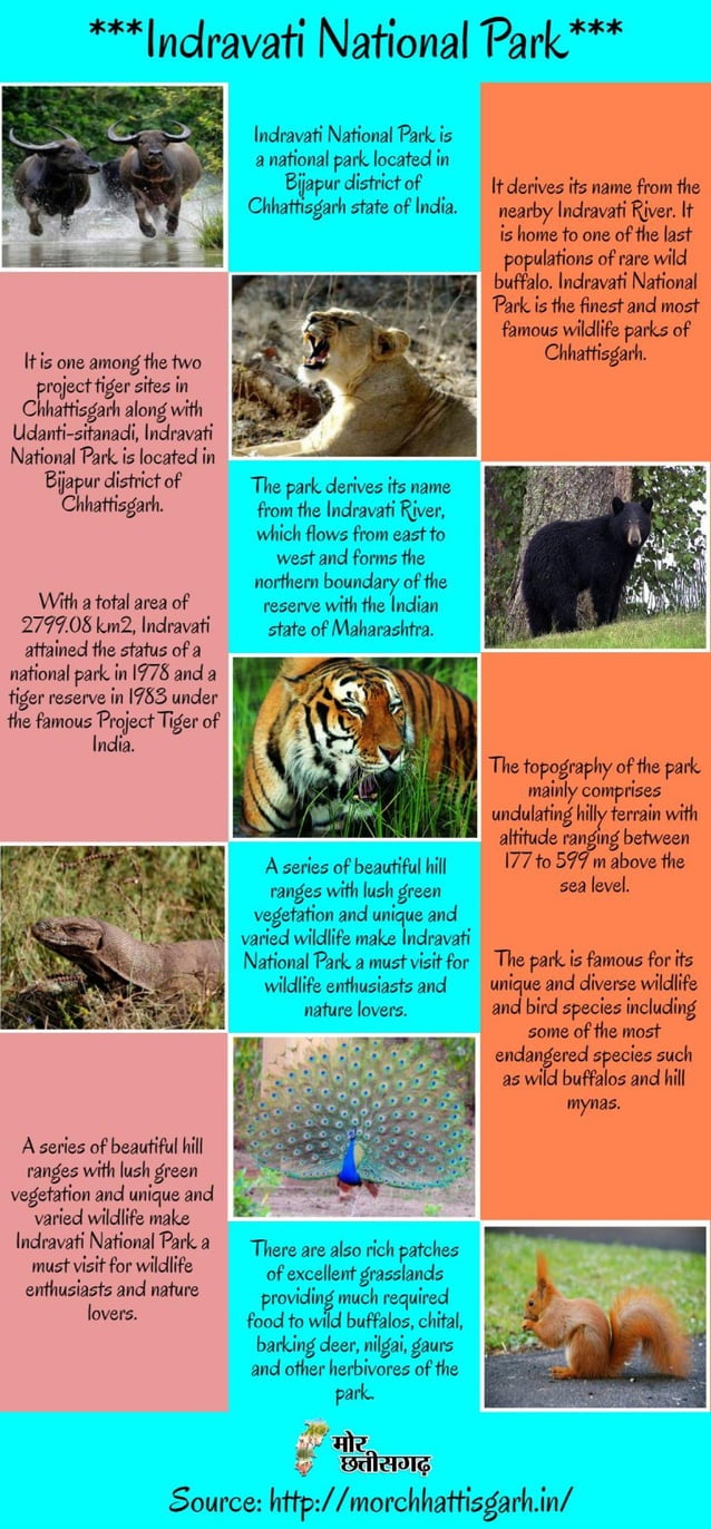 Indravati National Park | PDF