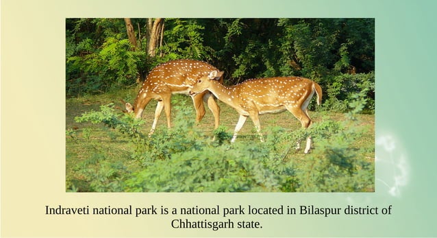 Indraveti national park | PPT