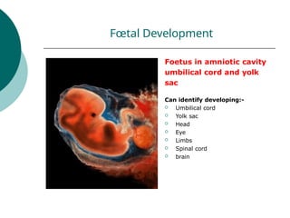Indroduction to Embryology Indroduction to Embryology | PPTX