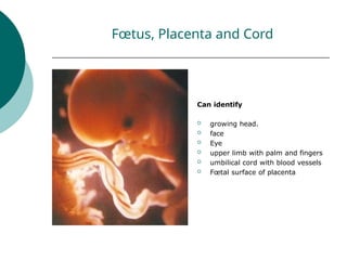 Indroduction to Embryology Indroduction to Embryology | PPTX