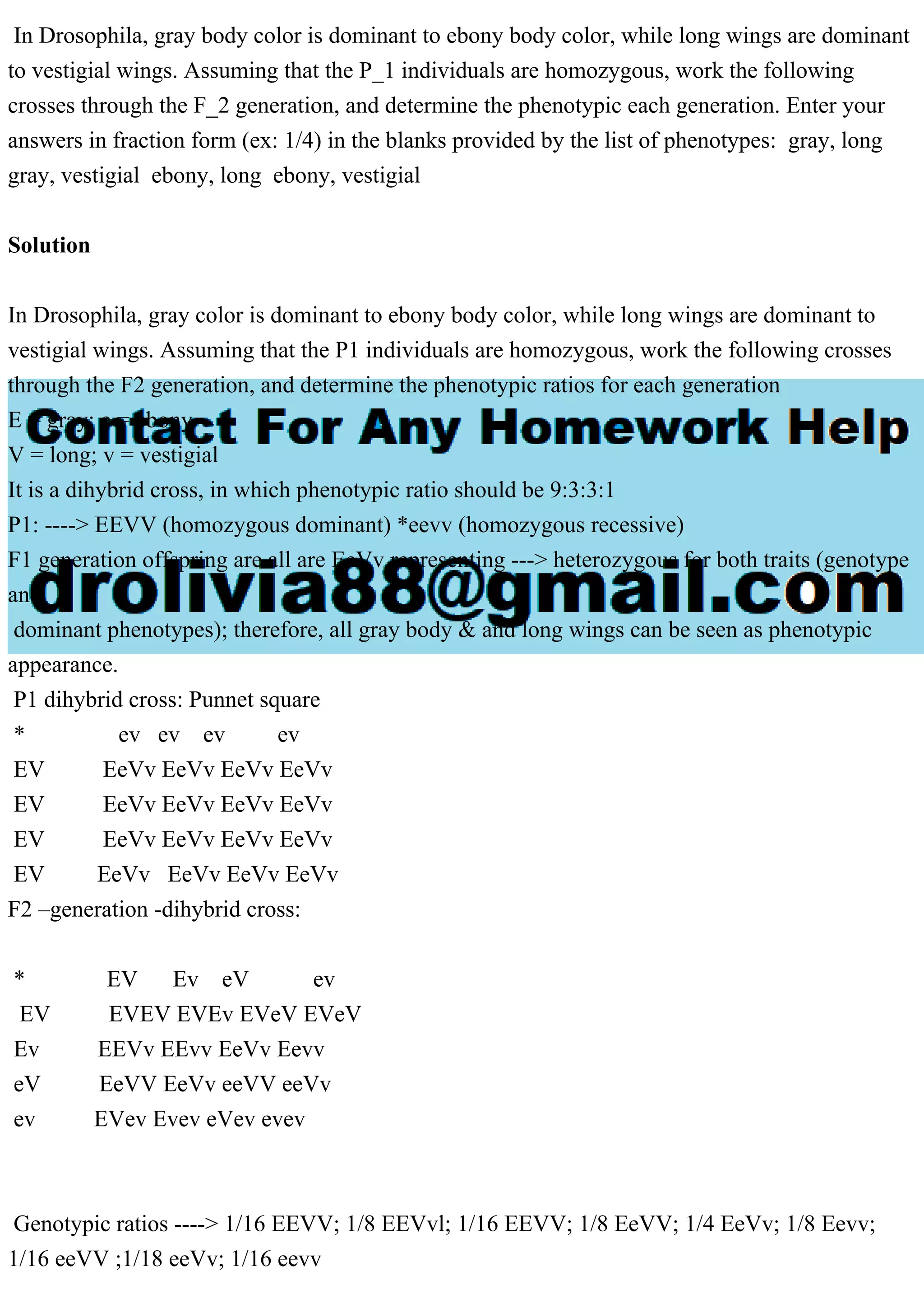 In Drosophila, gray body color is dominant to ebony body color, while.pdf