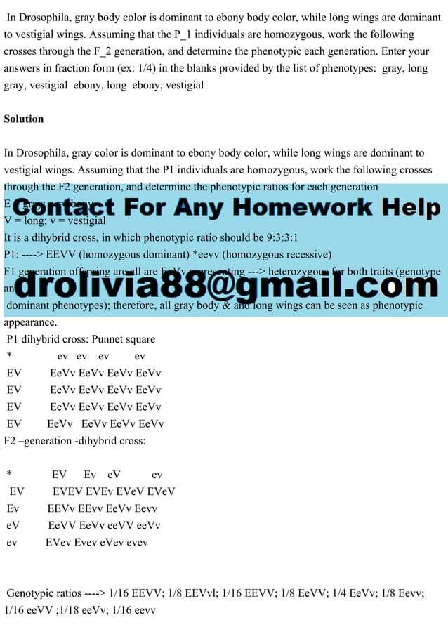 In Drosophila, gray body color is dominant to ebony body color, while.pdf