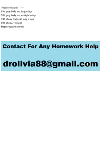 In Drosophila, gray body color is dominant to ebony body color, while.pdf