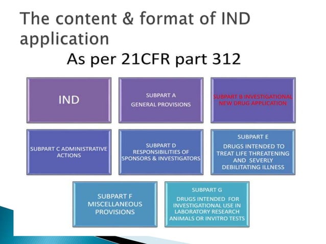 IND Enabling Studies by Kashikant Yadav | PPTX