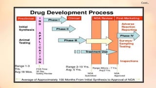 Drug Development Process Overview