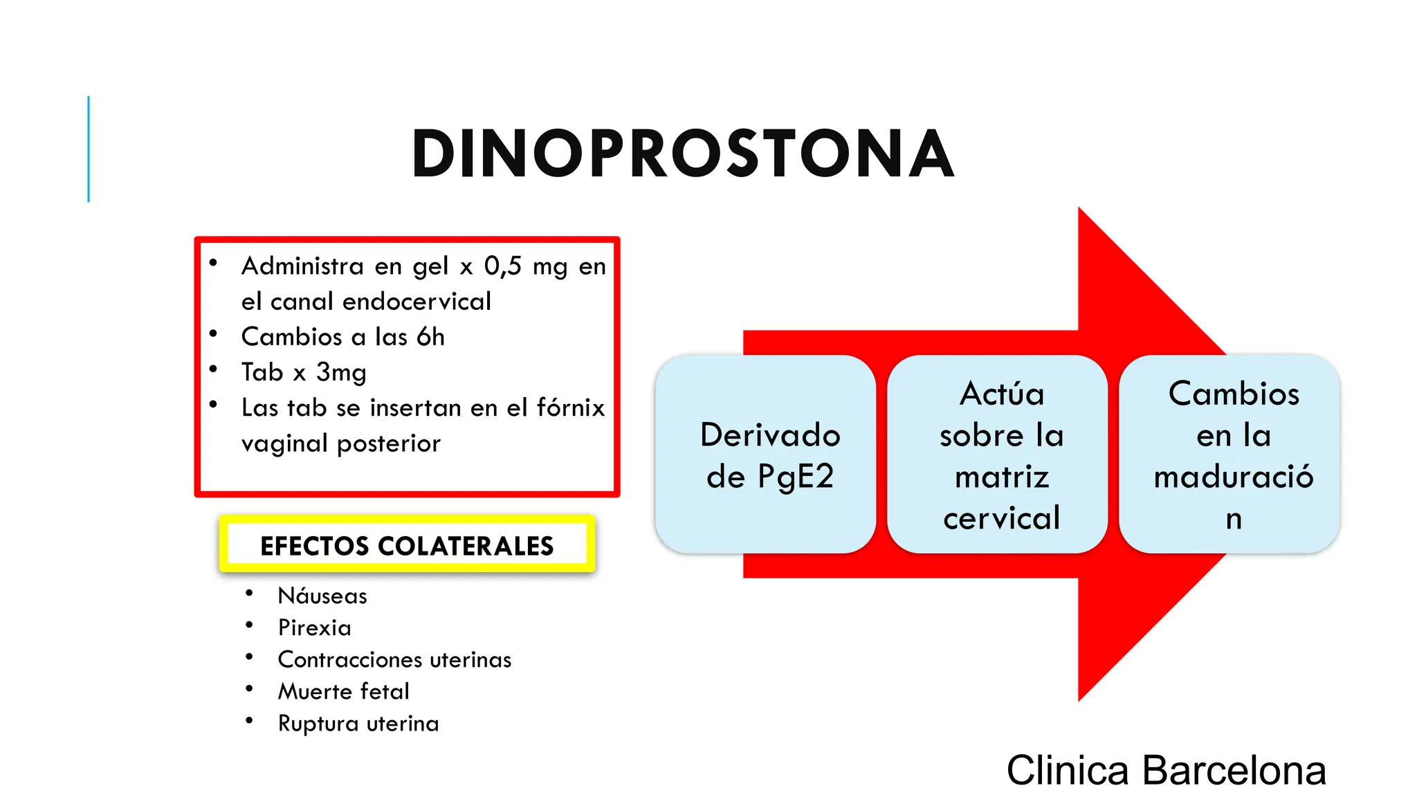 induccindelpoooartodiapos1-180213074730.pptx