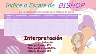 Escala de Bishop en la Inducción del Trabajo de Parto | PPTX