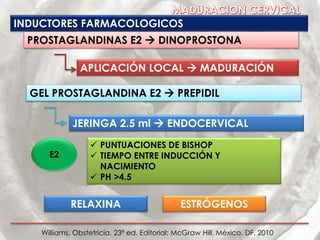 Induccion del parto | PPT