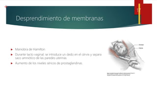 Inducción y conducción del tdp | PPTX
