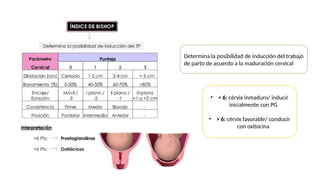 Inducción y Conducción del trabajo de parto.pptx
