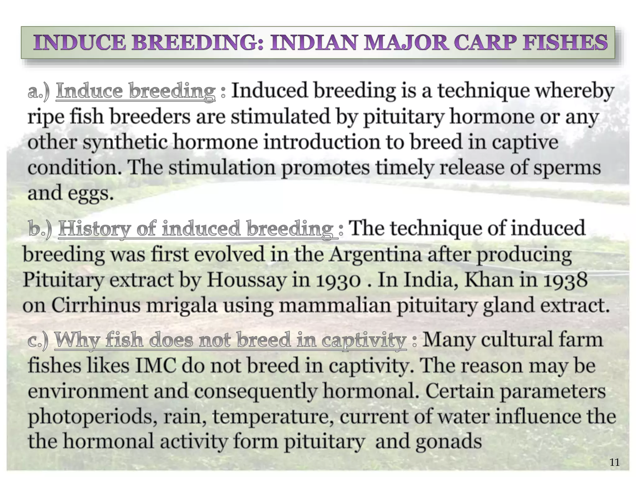 Induce breeding indian major carp bkk | PPTX