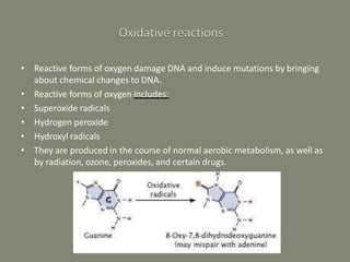 Induced and spontaneous mutation | PPTX