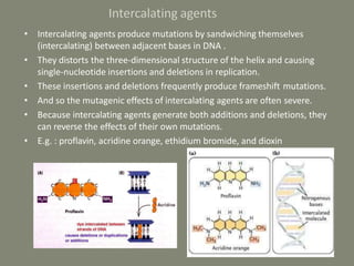 Induced and spontaneous mutation | PPTX