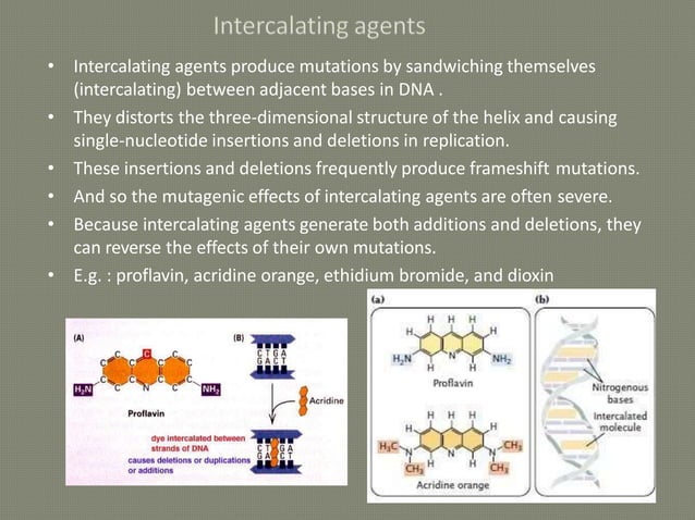 Induced and spontaneous mutation | PPTX