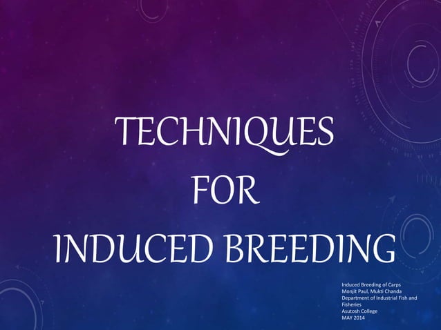 Induced breeding in fishes | PPTX