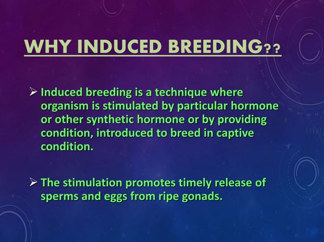 Induced breeding in fishes | PPTX