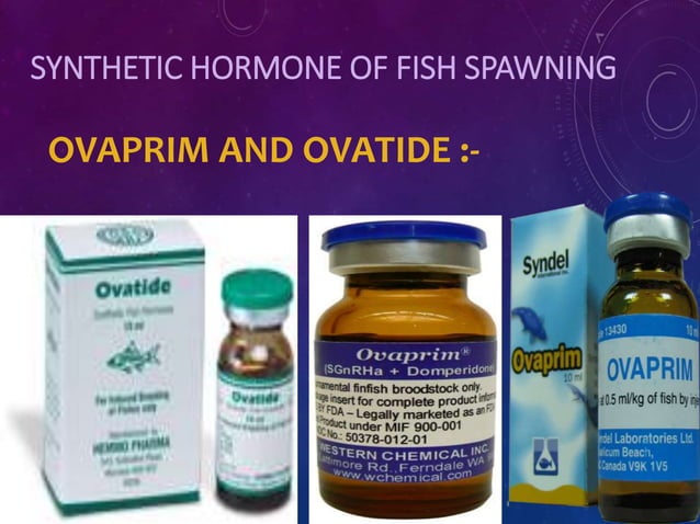 Induced breeding in fishes | PPTX