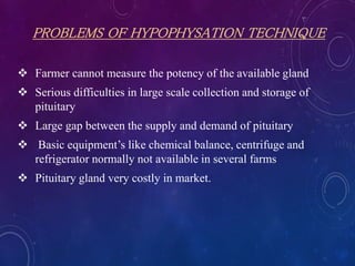 Induced breeding in fishes | PPTX