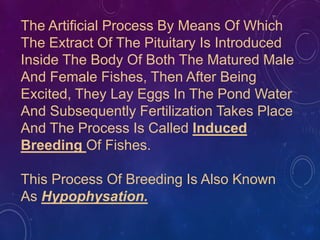 Induced breeding in fishes | PPTX