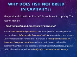 Induced breeding in fishes | PPTX