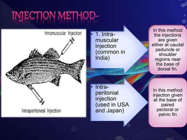 Induced breeding | PPTX | Fish and Aquariums | Pets
