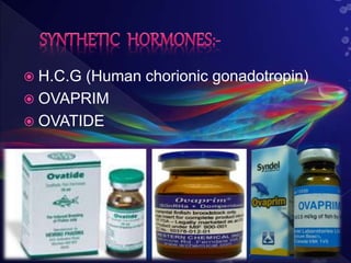 Induced breeding | PPTX