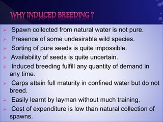 Induced breeding | PPTX