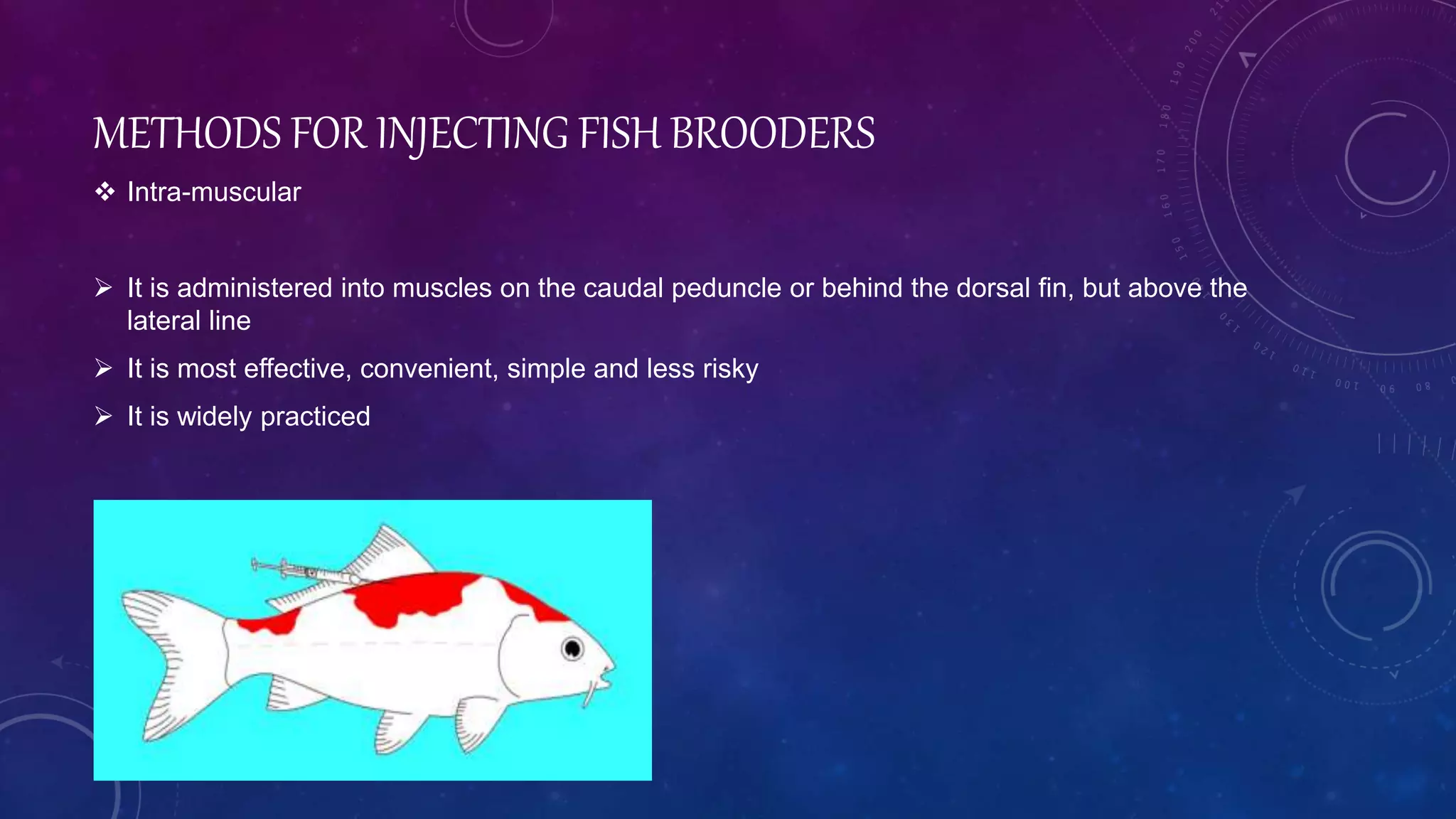 Induced Breeding Pptx