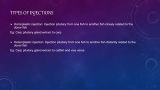 Induced breeding.pptx