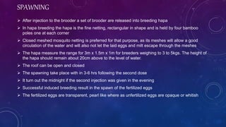 Induced breeding.pptx