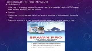 Induced breeding.pptx