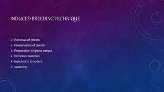 Induced breeding.pptx