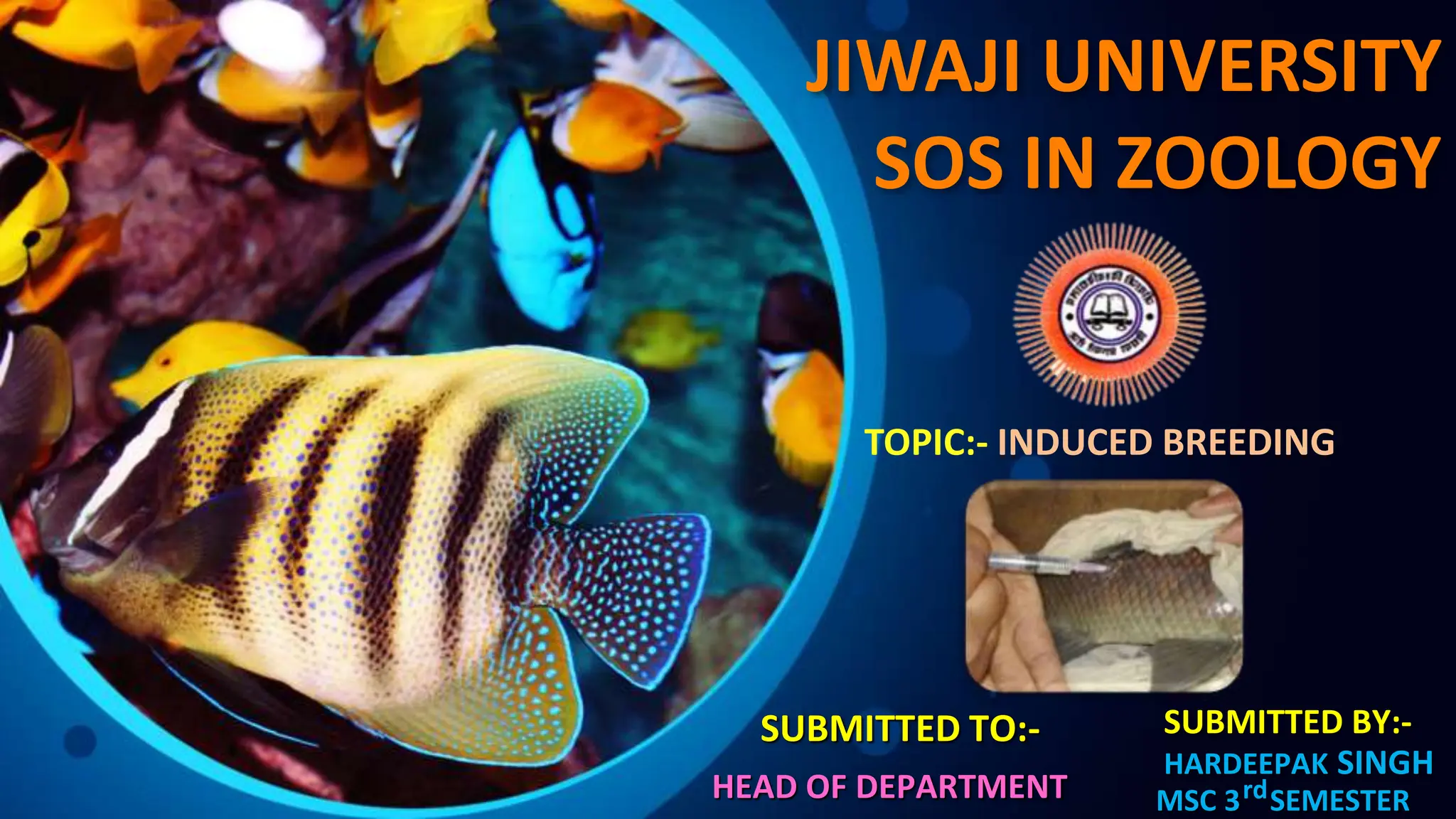 INDUCED BREEDING: in fishes to enhance breeding process | PPTX