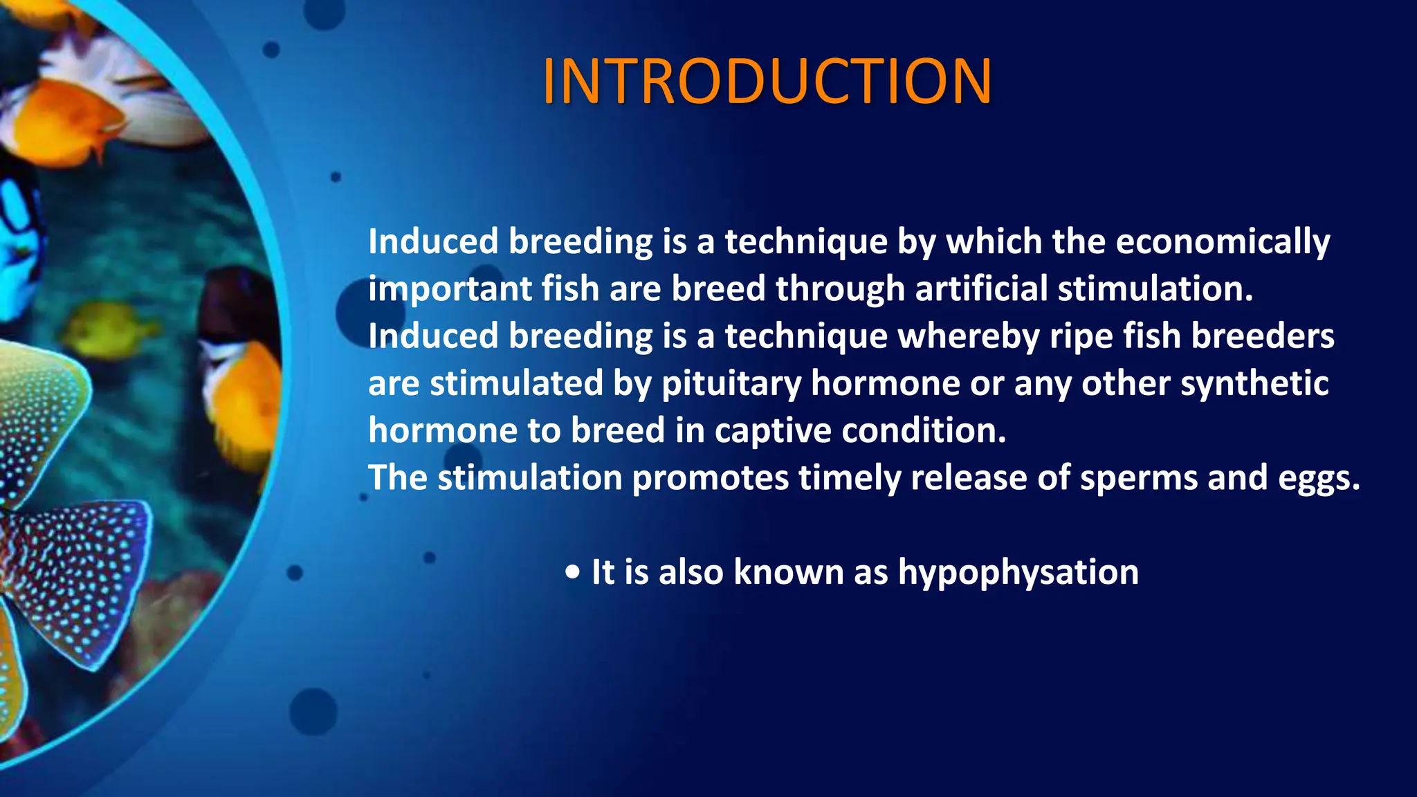 INDUCED BREEDING: in fishes to enhance breeding process | PPTX