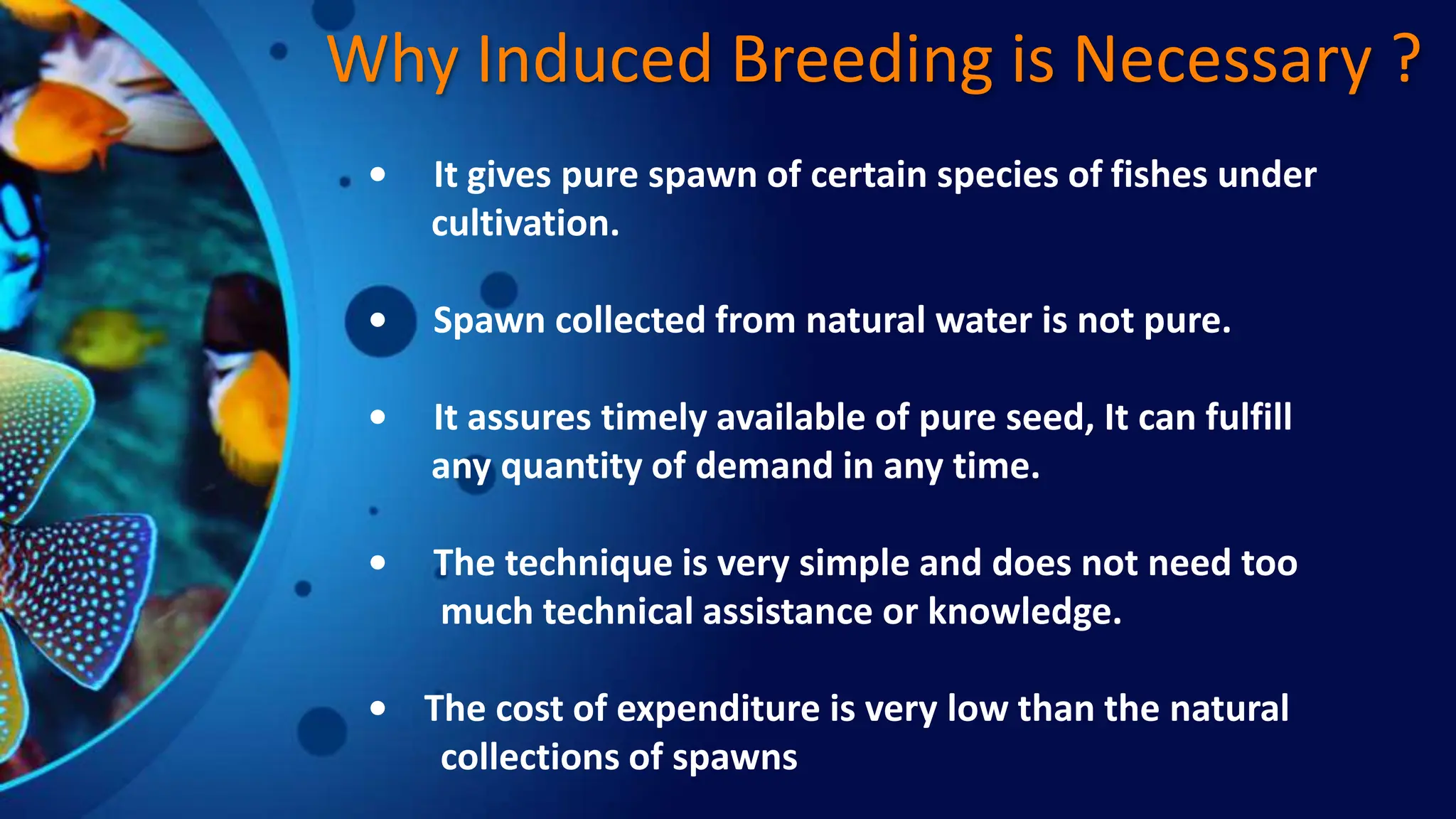 INDUCED BREEDING: in fishes to enhance breeding process | PPTX