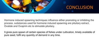 INDUCED BREEDING: in fishes to enhance breeding process | PPTX