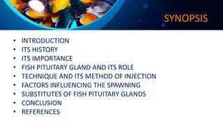 INDUCED BREEDING: in fishes to enhance breeding process | PPTX