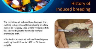INDUCED BREEDING: in fishes to enhance breeding process | PPTX