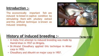 INDUCED BREEDING- By Arifa Khatun | PPT