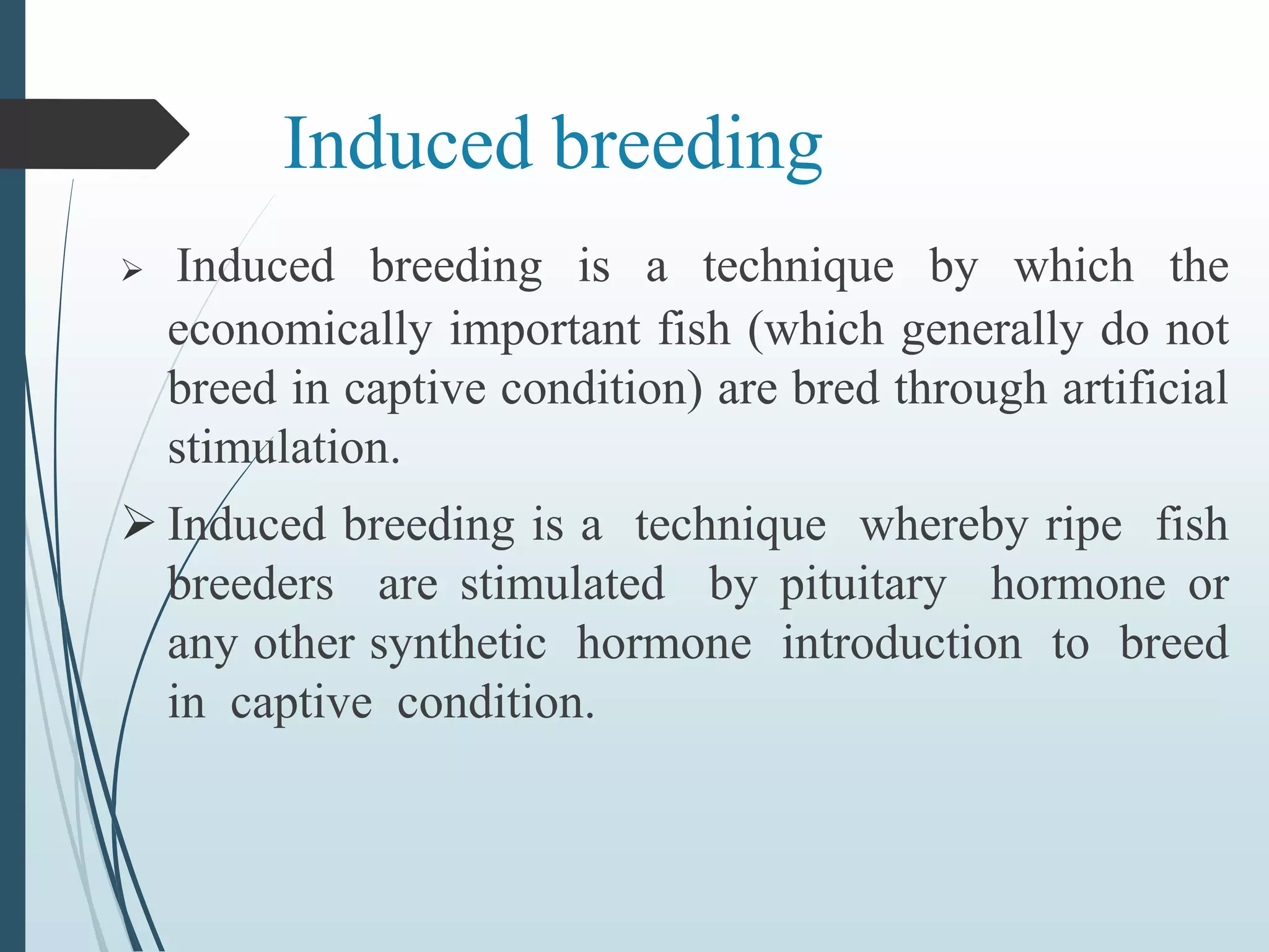 Induced breeding in fishes | PPTX