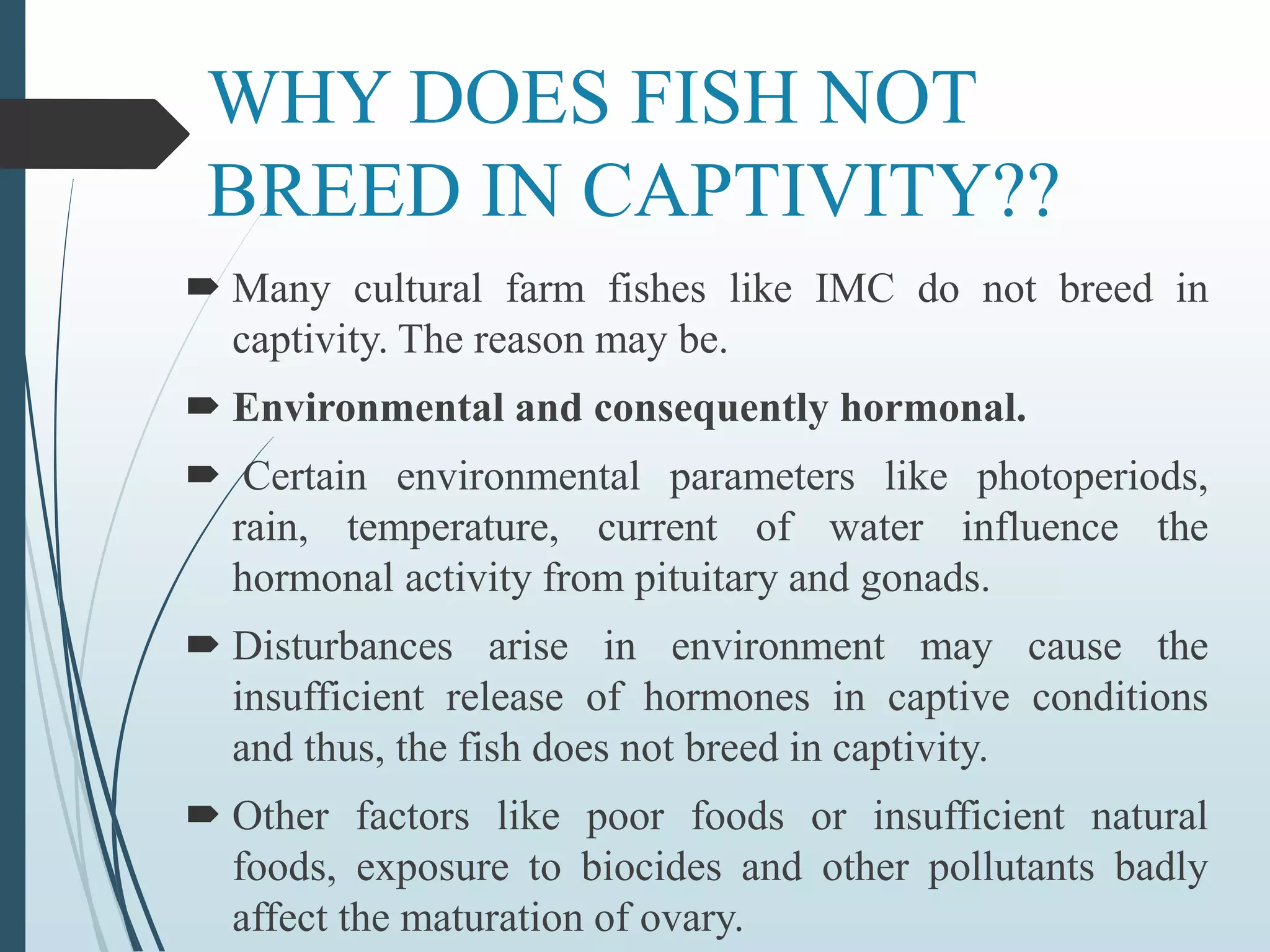 Induced breeding in fishes | PPTX
