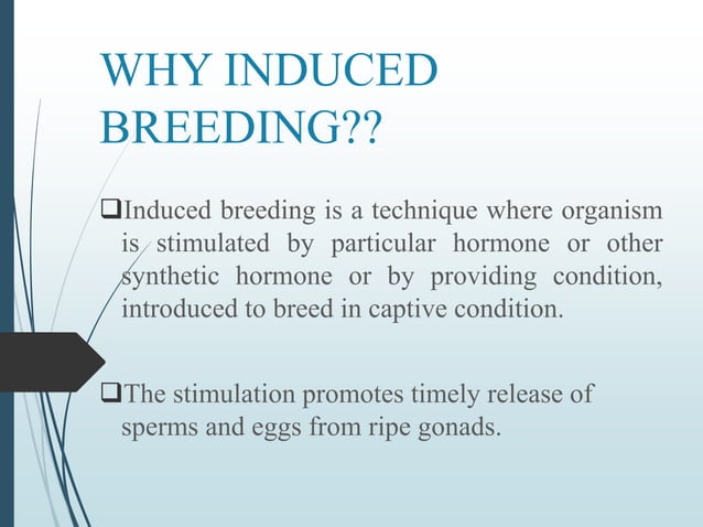 Induced breeding in fishes | PPTX | Infertility | Reproductive Health