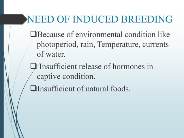 Induced breeding in fishes | PPTX | Infertility | Reproductive Health