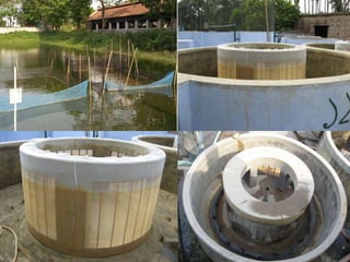 INDUCED BREEDING OF INDIAN MAJOR CARP | PPTX