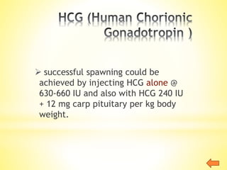 INDUCED BREEDING OF INDIAN MAJOR CARP | PPTX