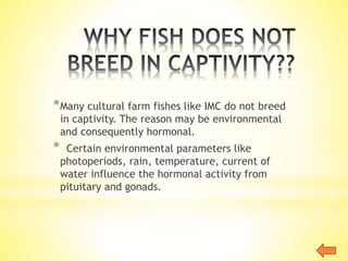INDUCED BREEDING OF INDIAN MAJOR CARP | PPTX