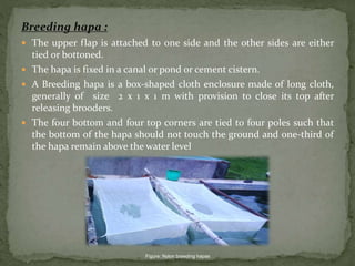 Induced breeding of indian major carps | PPTX